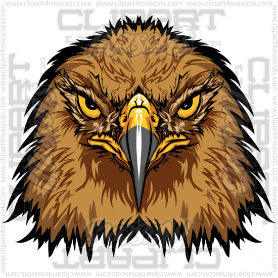 Hawk Head Image. Vector or Jpg Formats.